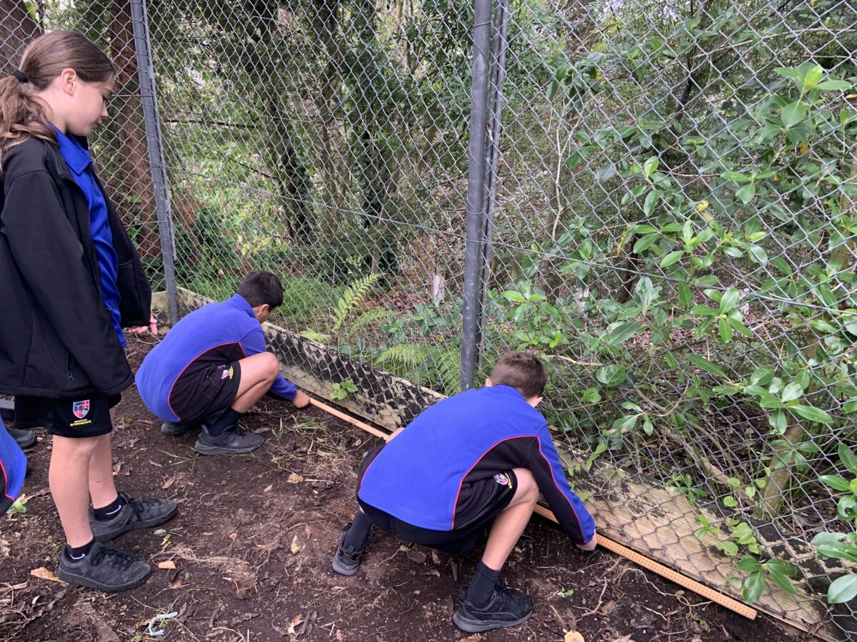 Enviroschools | Maeroa Intermediate Takes Maths Outdoors for a Real ...