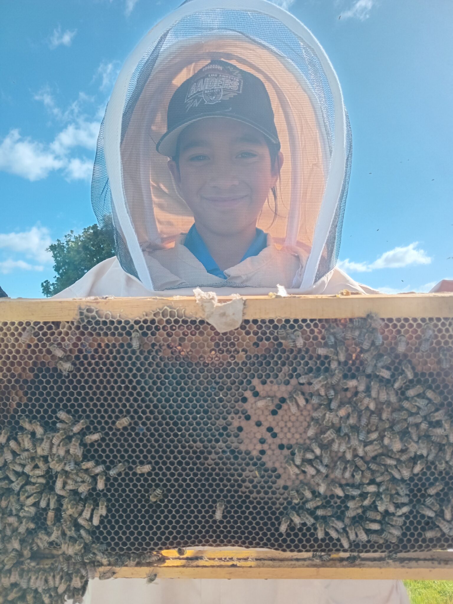 Enviroschools | Buzzing into Beekeeping!