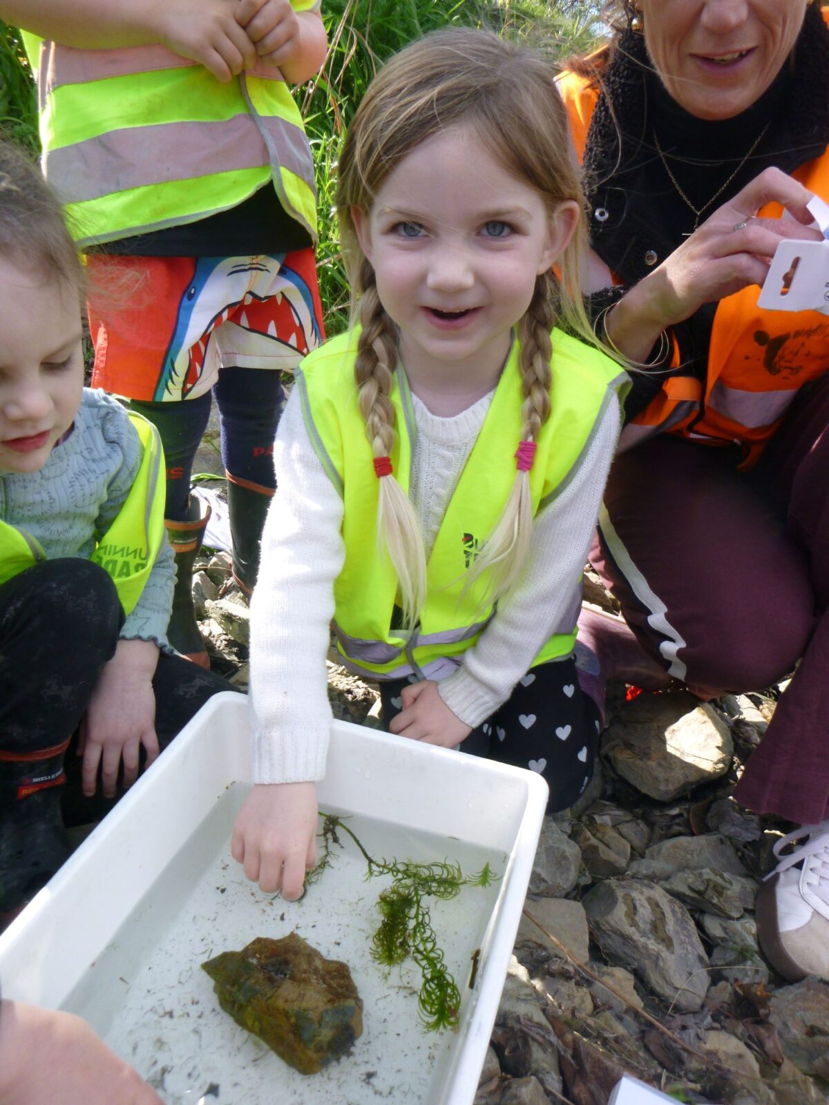 Enviroschools | Discovering Life in the Awa at McKendry Park