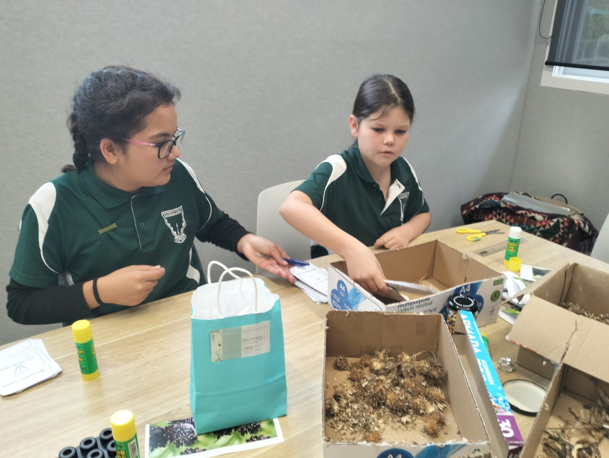 Enviroschools | How a project at Maramarua School cultivated an Envirogroup