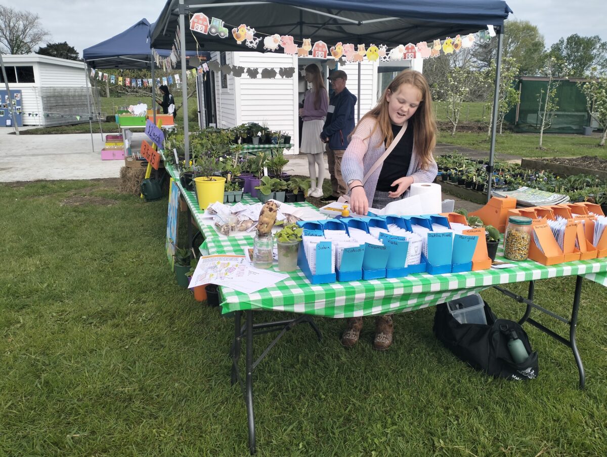 Enviroschools | How a project at Maramarua School cultivated an Envirogroup