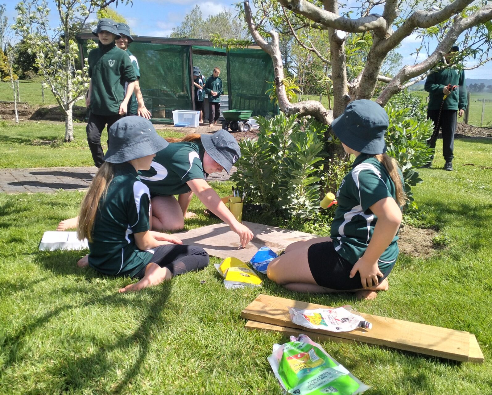 Enviroschools | How a project at Maramarua School cultivated an Envirogroup